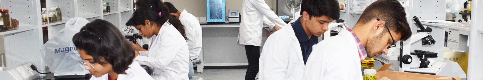 Department of Biosciences | Faculty of Science, Technology and ...